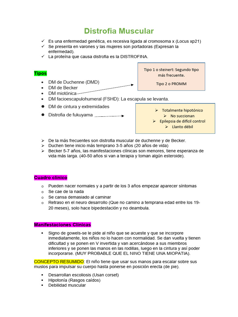 Distrofia Muscular | PDF | Medicina CLINICA | Enfermedades y trastornos
