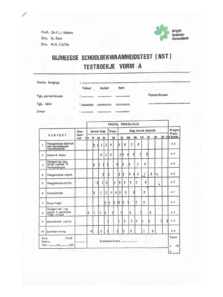 Nijmeegse Schoolbekwaamheidstest (NST) | PDF
