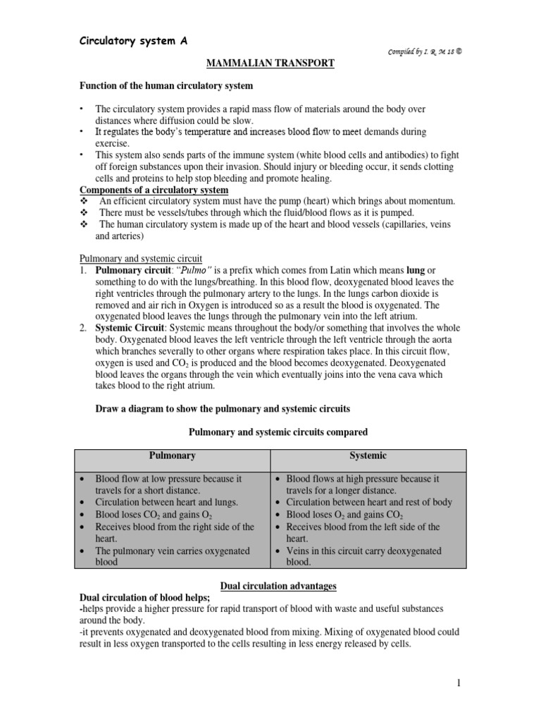 Mammalian Transport | PDF | Travel | Wellness