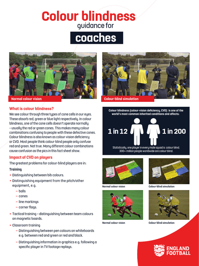 Colour Blindness Guidance | PDF | Color | Senses