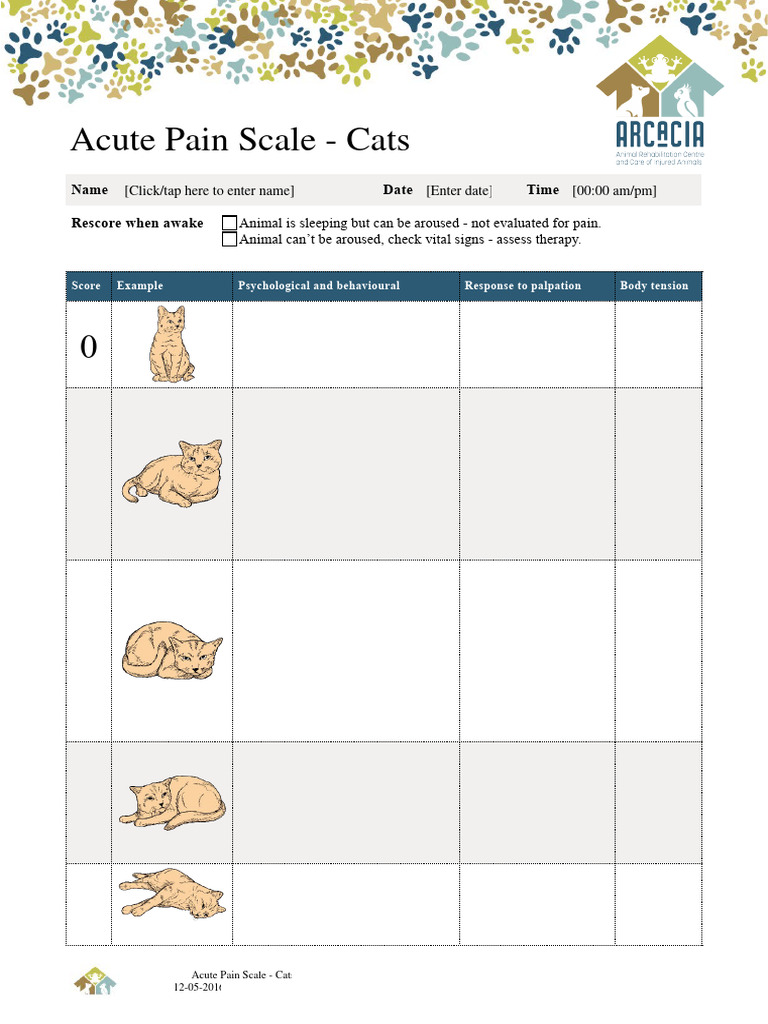 Feline Acute Pain Assessment Scale | PDF | Pain | Cats