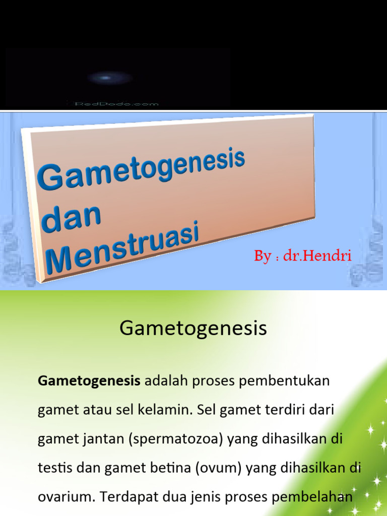 GAMETOGENESIS | PDF