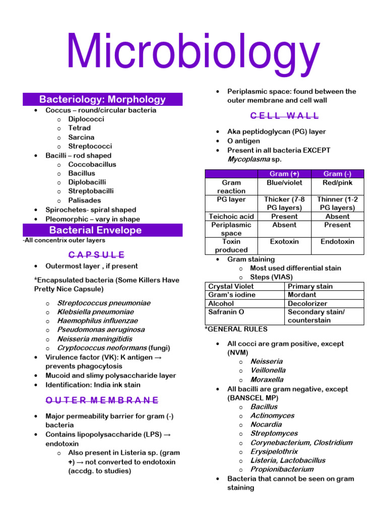 Microbiology - Bacteriology | PDF | Bacteria | Streptococcus