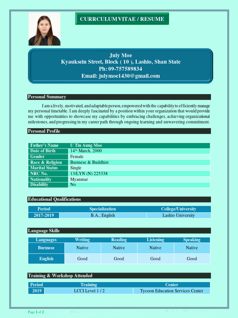 Currculum Vitae / Resume: Personal Summary | Download Free PDF | Learning