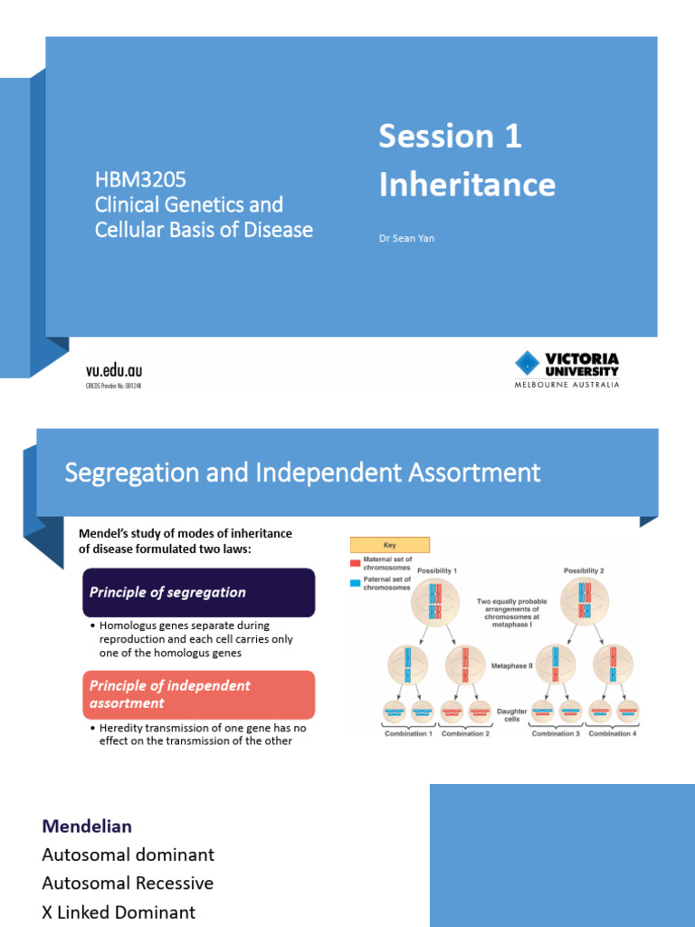 Session 1-1 Inheritance | PDF | Dominance (Genetics) | Zygosity
