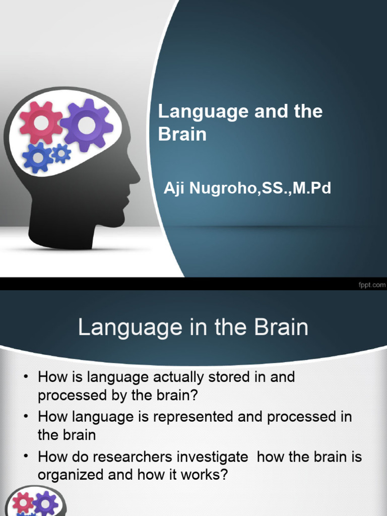 Language Anf The Brain | PDF | Lateralization Of Brain Function | Cerebral Hemisphere