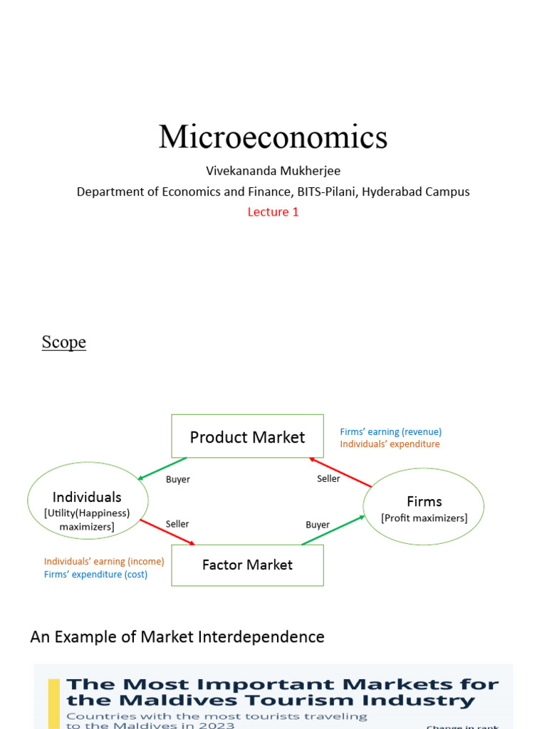 Introduction to Microeconomics Markets | PDF | Business