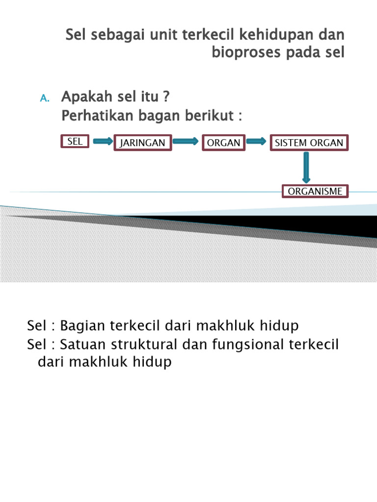PW Point Bagian-Bagian Sel Klas Xi | PDF | Griya & Taman | Kesehatan Holistik