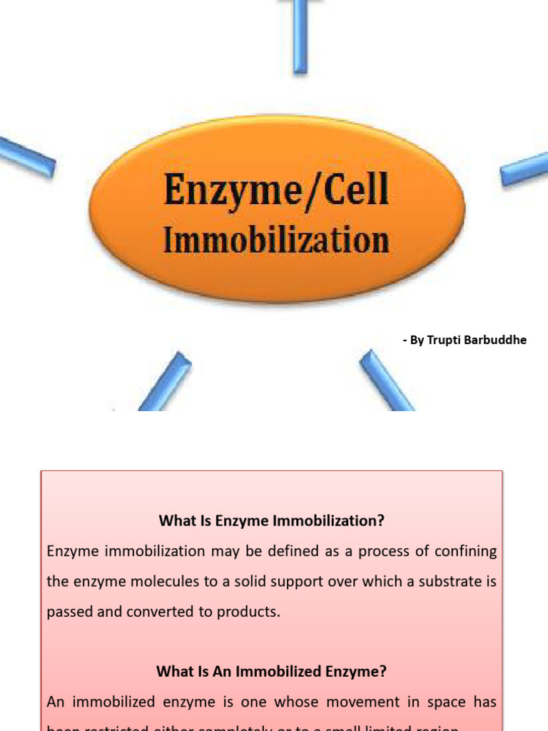 UNIT V Enzyme Immobilization | PDF | Chemical Reactor | Enzyme