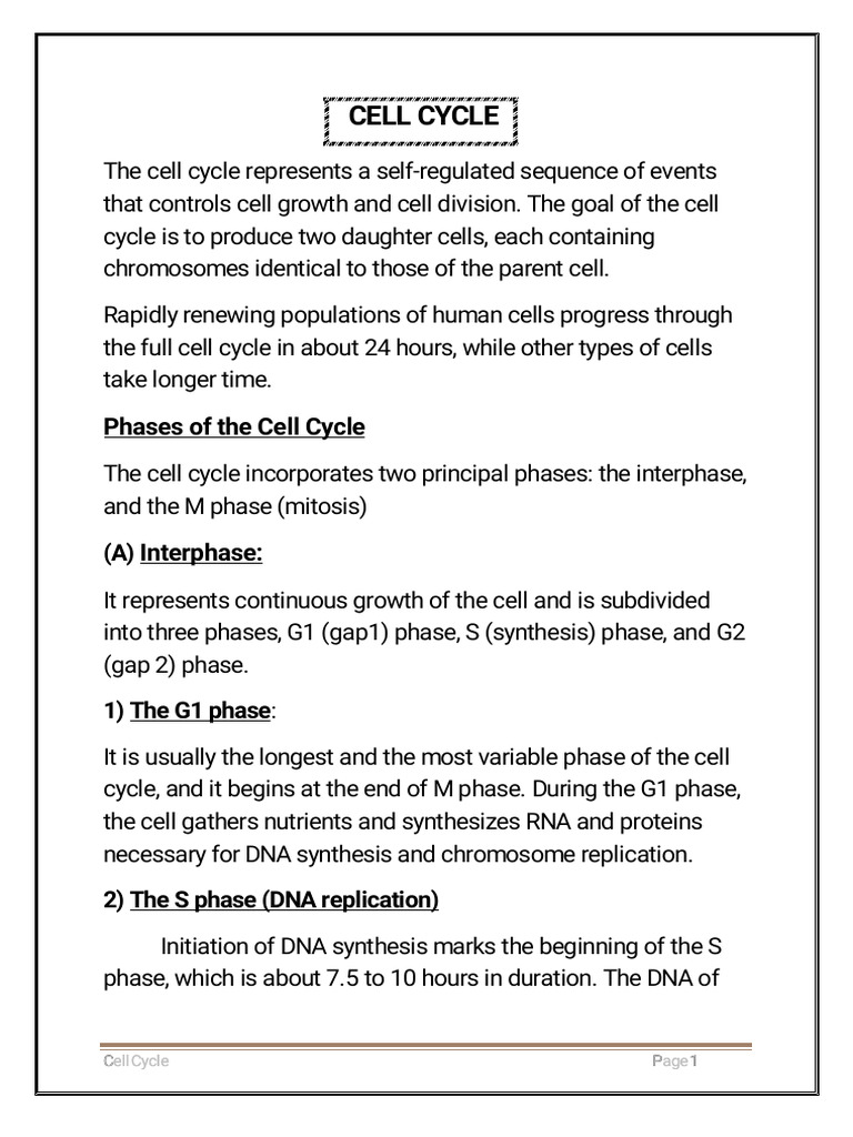 CELL CYCLE | PDF | Meiosis | Mitosis