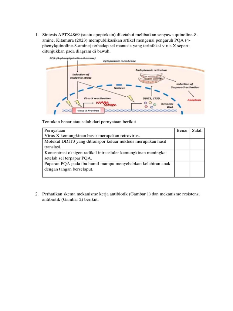 Soal Osnk Biologi 2023 Nomor 1 - 25 | PDF | Sains & Matematika