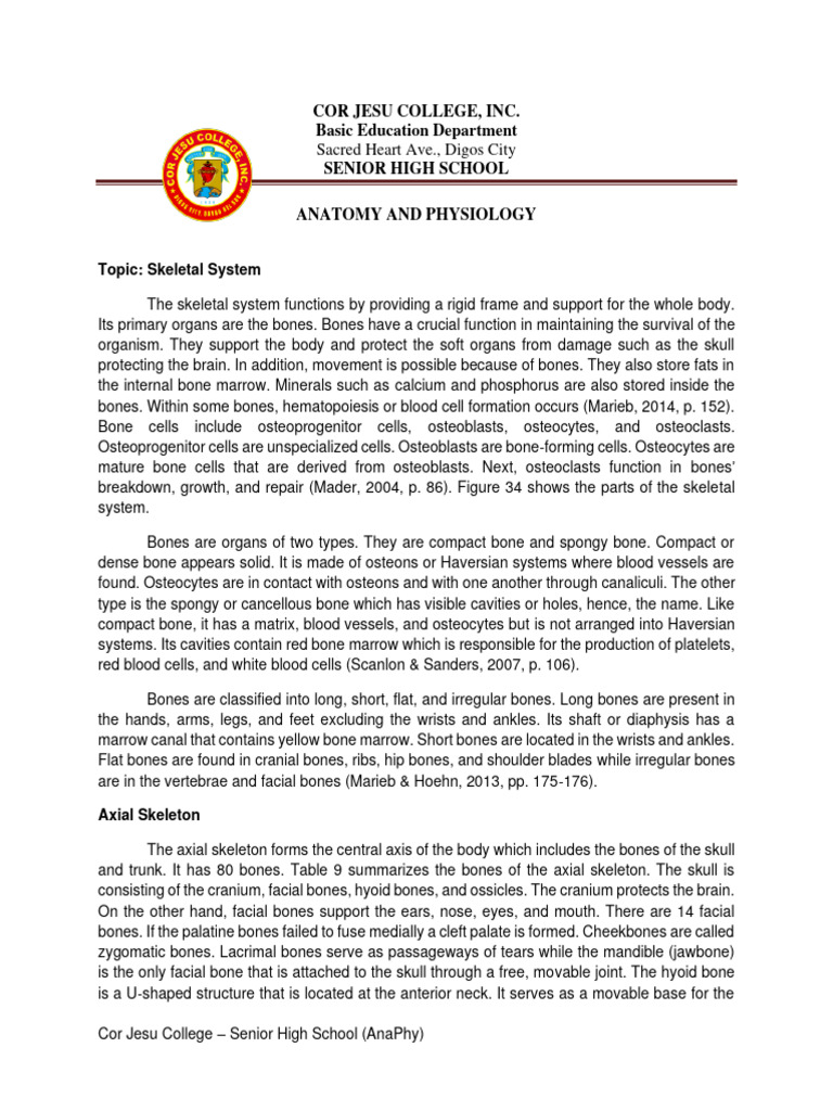 Skeletal System | PDF