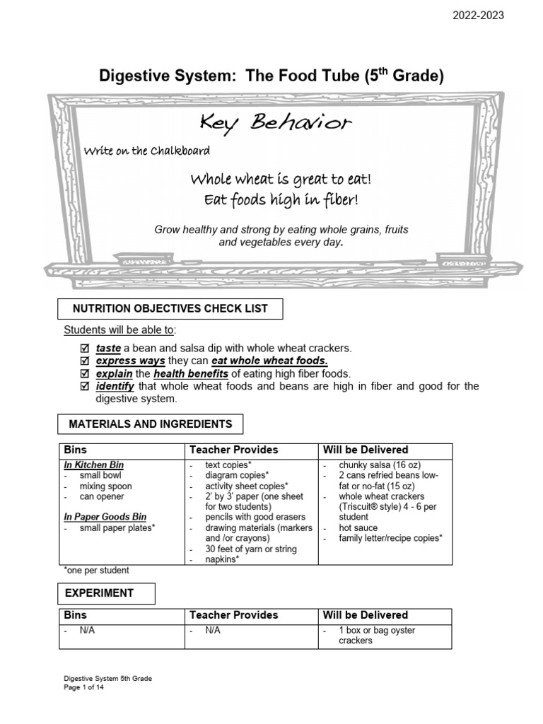 4 Digestive System (5th) | PDF | Digestion | Stomach