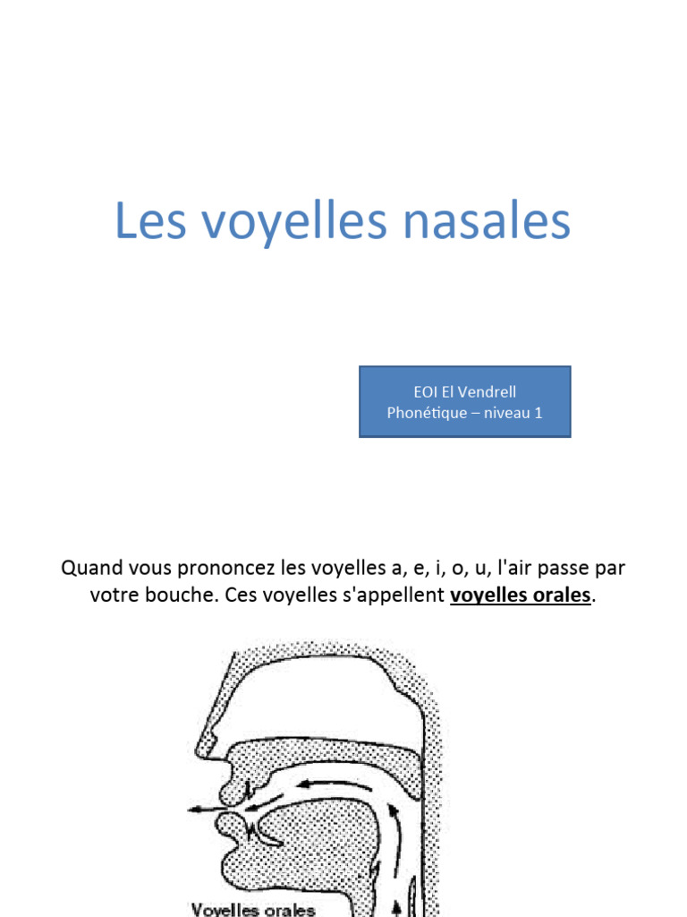 Les Voyelles Nasales | PDF