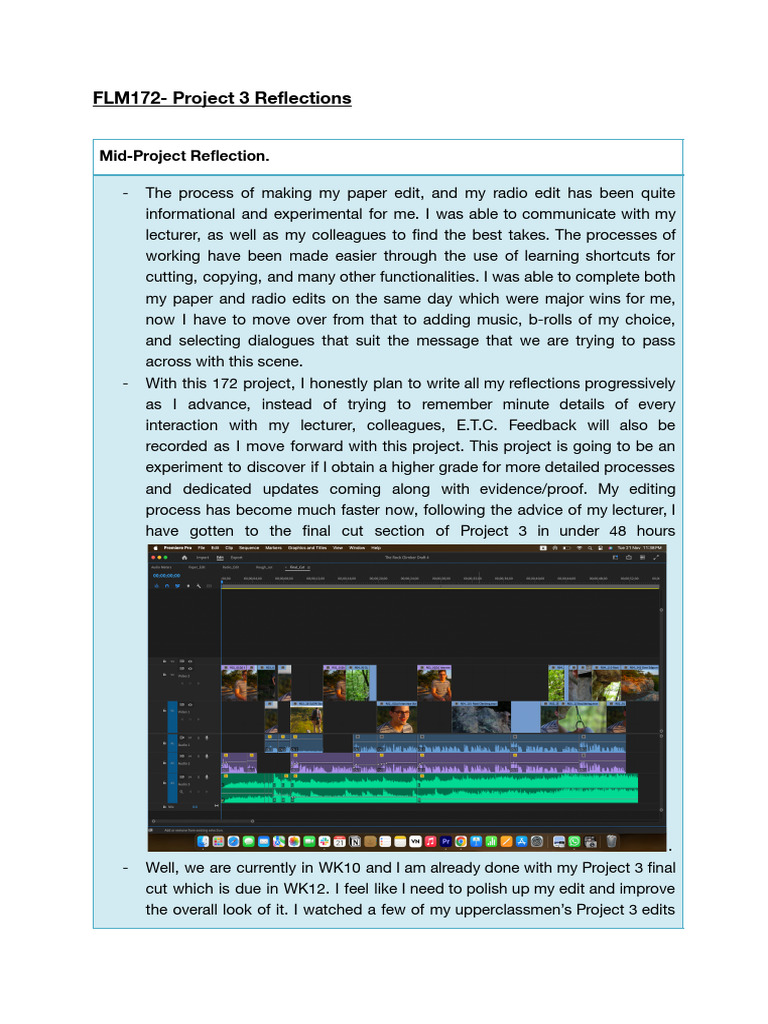 Project 3 | PDF | Human Communication | Cognition