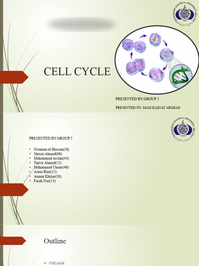 Cell Cycle-1 | PDF | Meiosis | Mitosis
