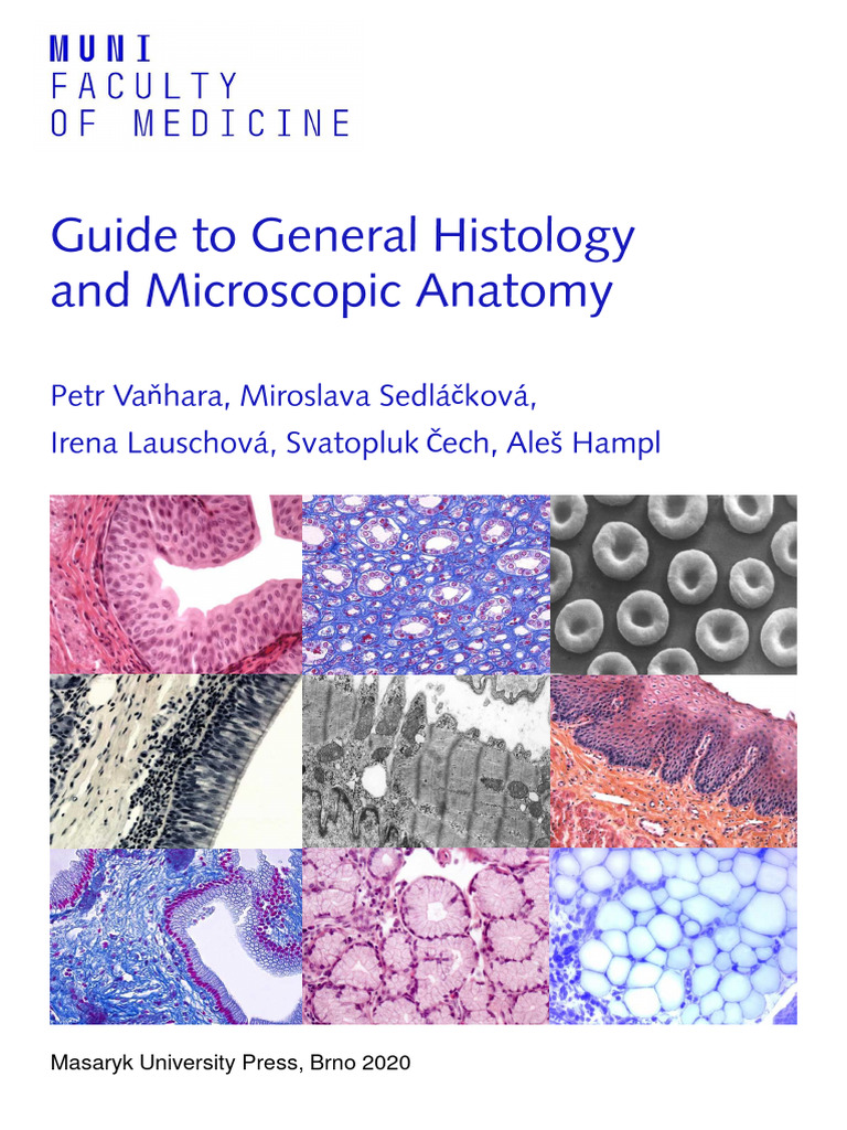 Guide To General Histology and Microscopic Anatomy | PDF | Cardiac ...
