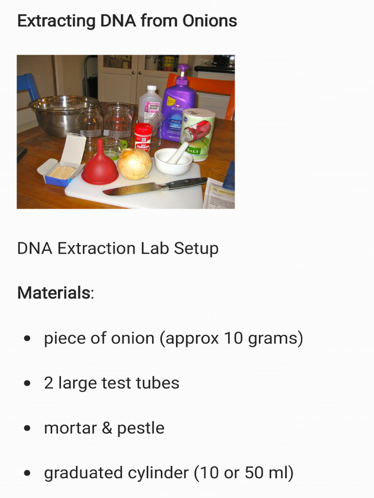 Isolation of DNA from Onion | PDF