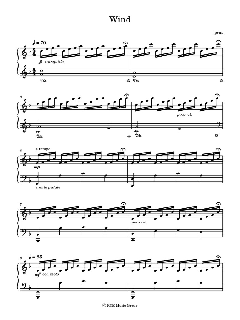 Wind Sheets | PDF | Musicology | Performing Arts