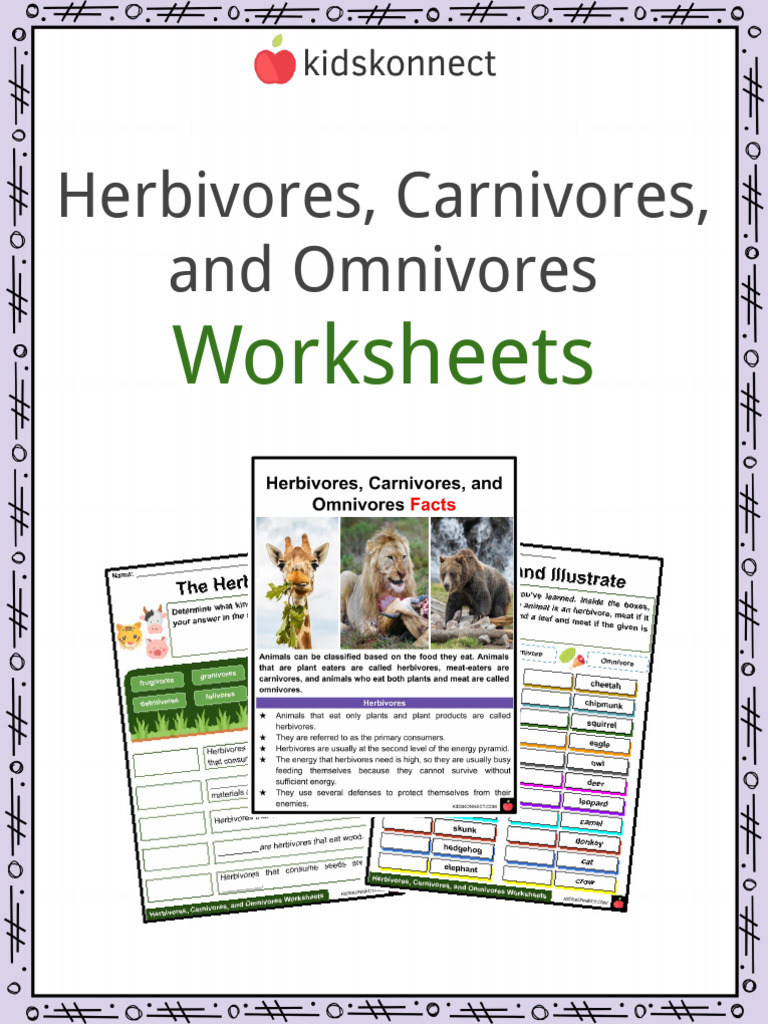 Herbivores Carnivores and Omnivores Worksheets Sample | PDF | Food Web ...