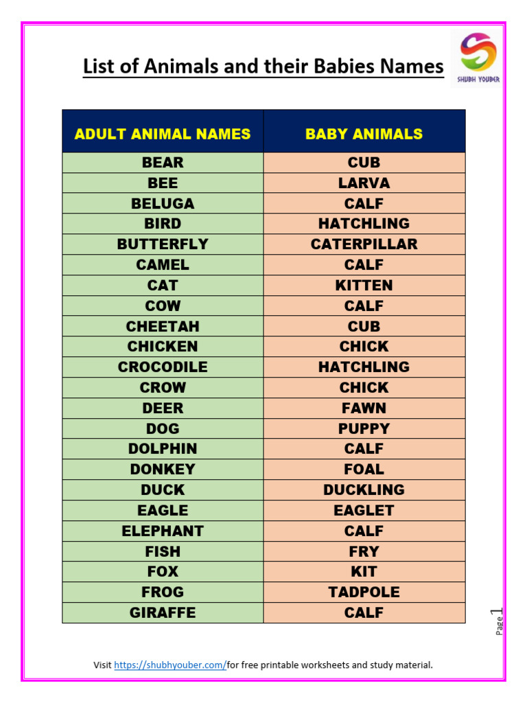 List of Animals and Their Babies Names | Download Free PDF | Birds ...