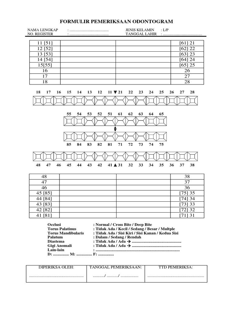 Odontogram | PDF