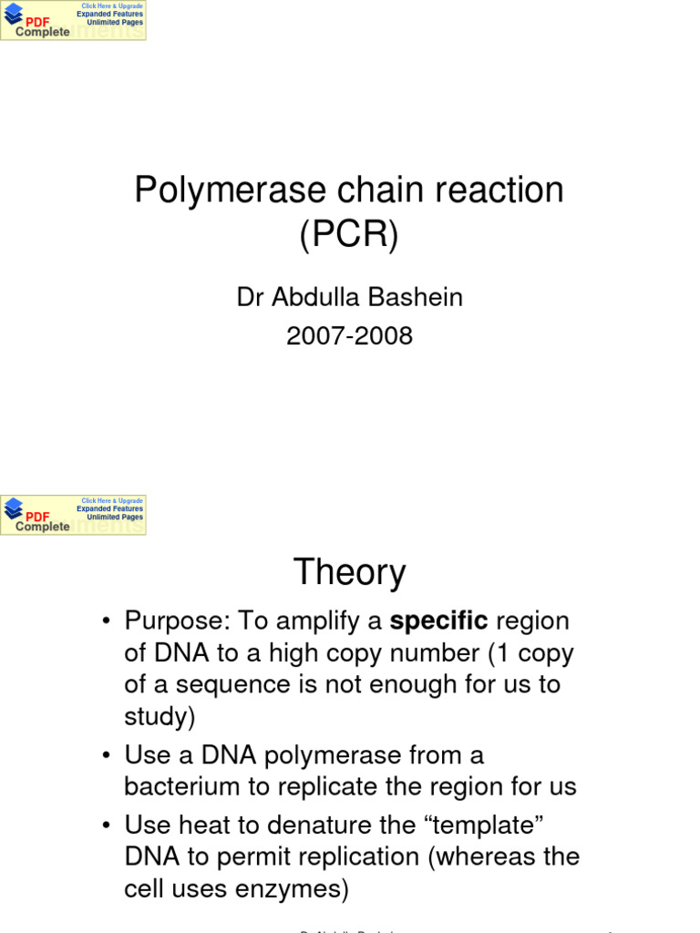 3 PCR 2007-2008 | PDF | Polymerase Chain Reaction | Primer (Molecular Biology)