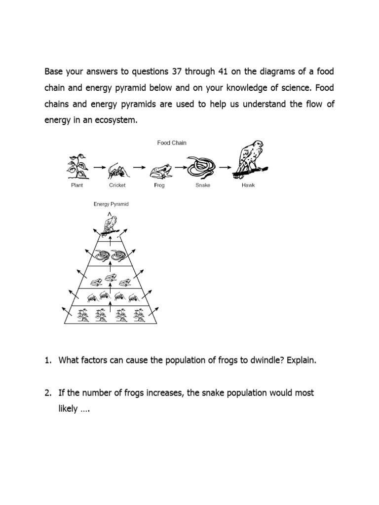 Understanding Food Chains and Energy Flow | PDF | Science & Mathematics