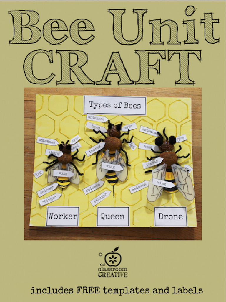Bee Unit Craftivity The Classroom Creative | PDF | Insects | Bees