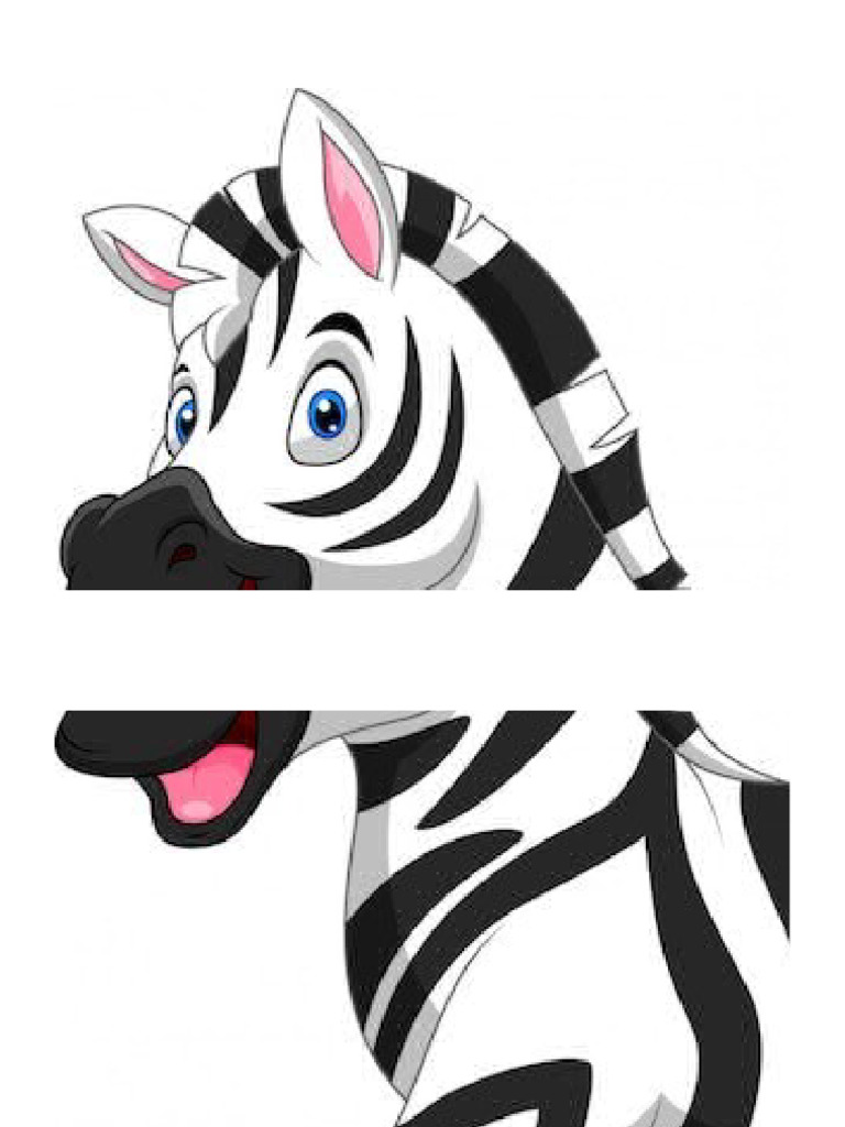 Zebra | PDF