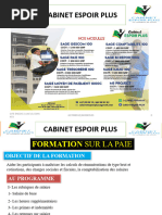 DIPE | PDF | Salaires | Microsoft Excel