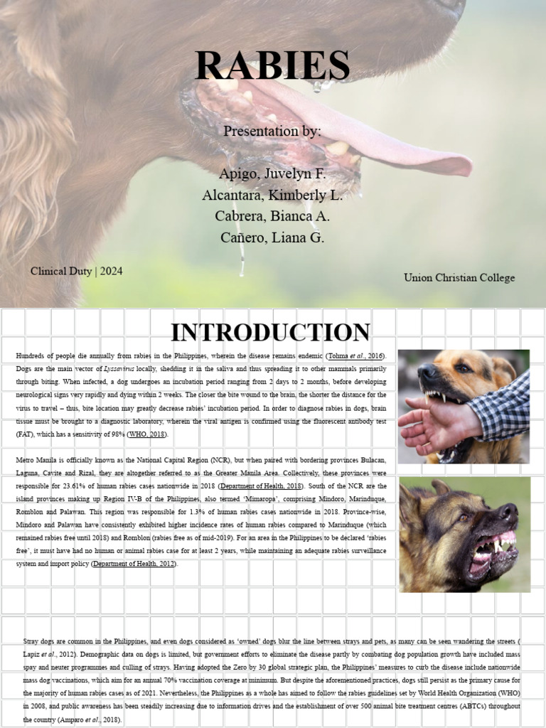 Rabies in the Philippines: Key Insights | PDF | Rabies | Virus
