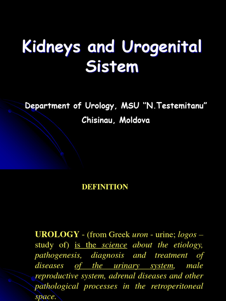 General Anatomu Urology | PDF | Kidney | Urinary System