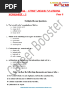 Maths Grade 6 Paper 1 | PDF | Geometric Shapes | Elementary Mathematics