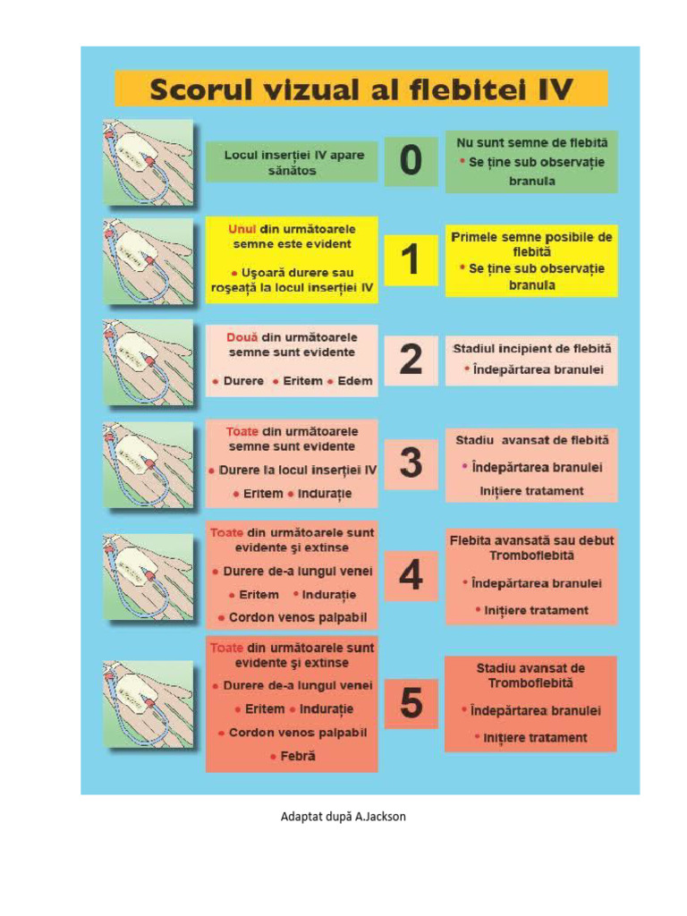 Scor Vizual de Flebita | PDF