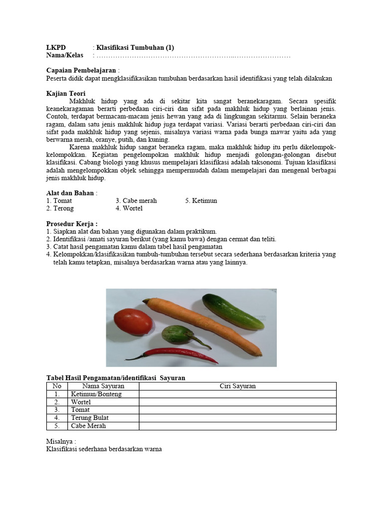 LKPD Klasifikasi Tumbuhan | PDF | Griya & Taman | Kesehatan Holistik