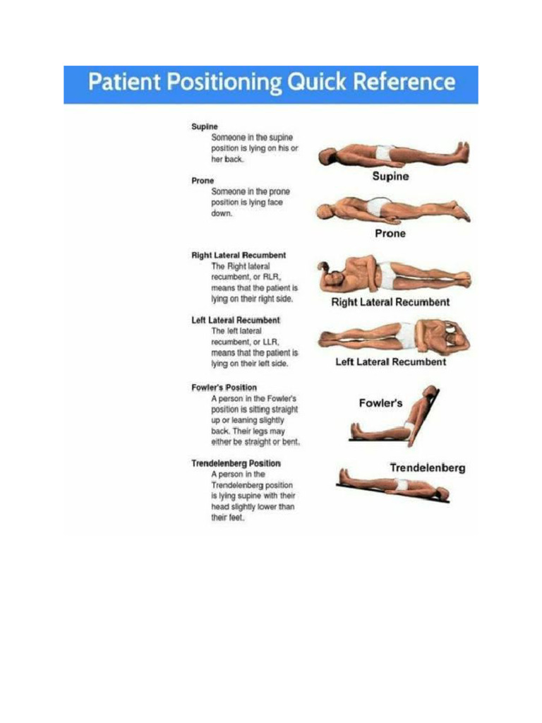 Anatomical Position | PDF