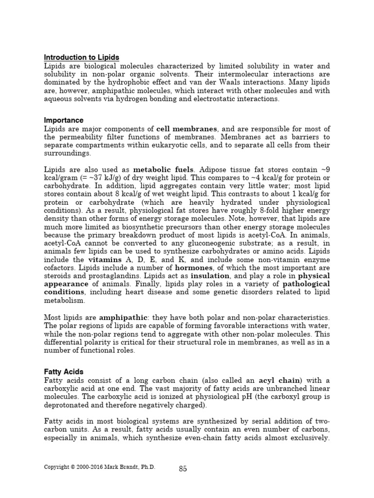 Lipids | PDF | Lipid | Fatty Acid
