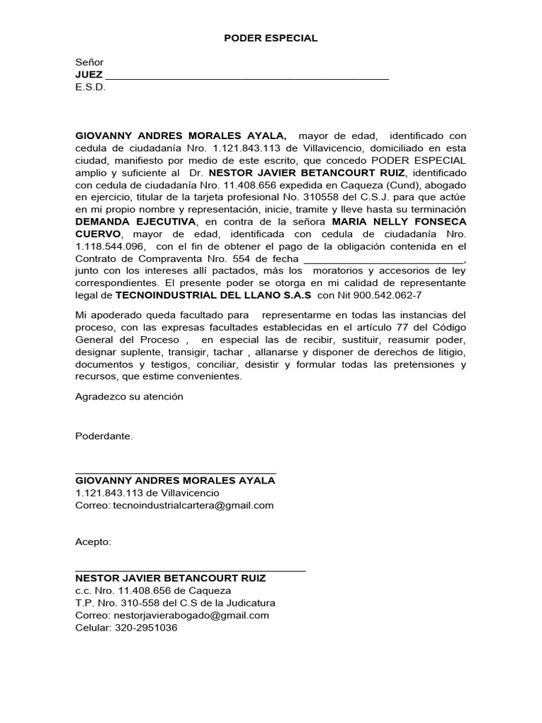 PODER EN CIVIL - PROCESO EJECUTIVO | PDF