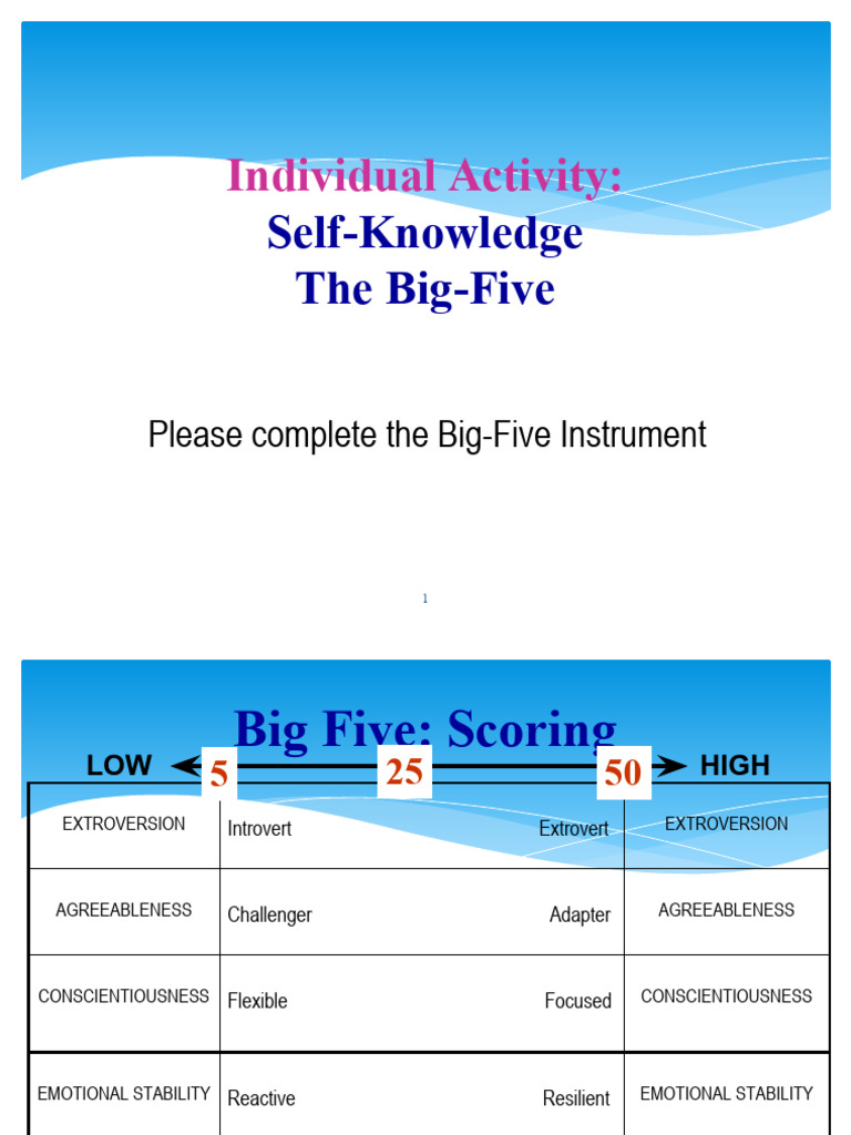 Big 5 | PDF | Extraversion And Introversion | Behavioural Sciences