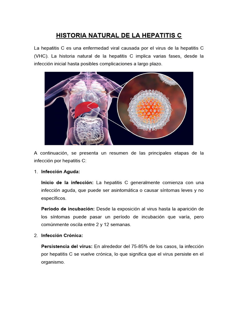 Historia Natural de La Hepatitis C | Descargar gratis PDF | Hepatitis C | Hepatitis