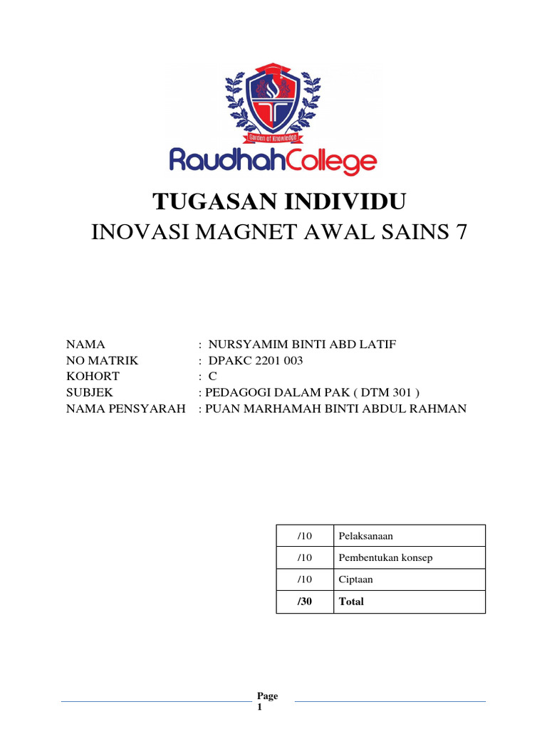 Assignment Individual Dtm 301 Pdf