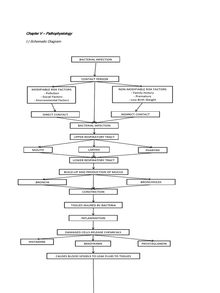 PATHOPHYSIO | PDF | Respiratory Tract | Bronchitis