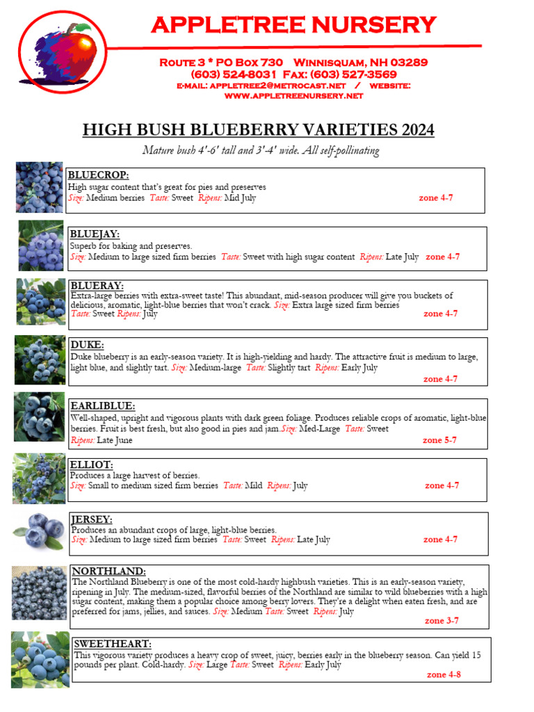 2024 blueberries | PDF | Blueberry | Berry