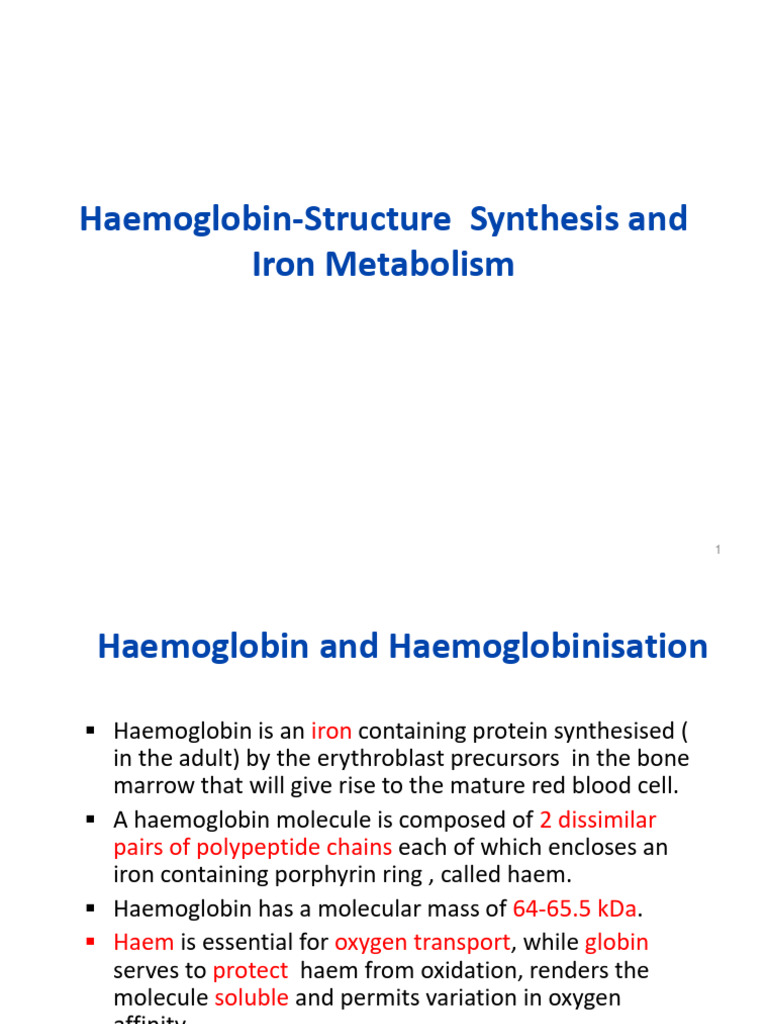 Haemoglobin-Structure Synthesis and Iron Metabolism | PDF | Hemoglobin | Iron