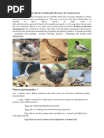 Story of Season FoMT Walkthrough | PDF | Livestock | Mining