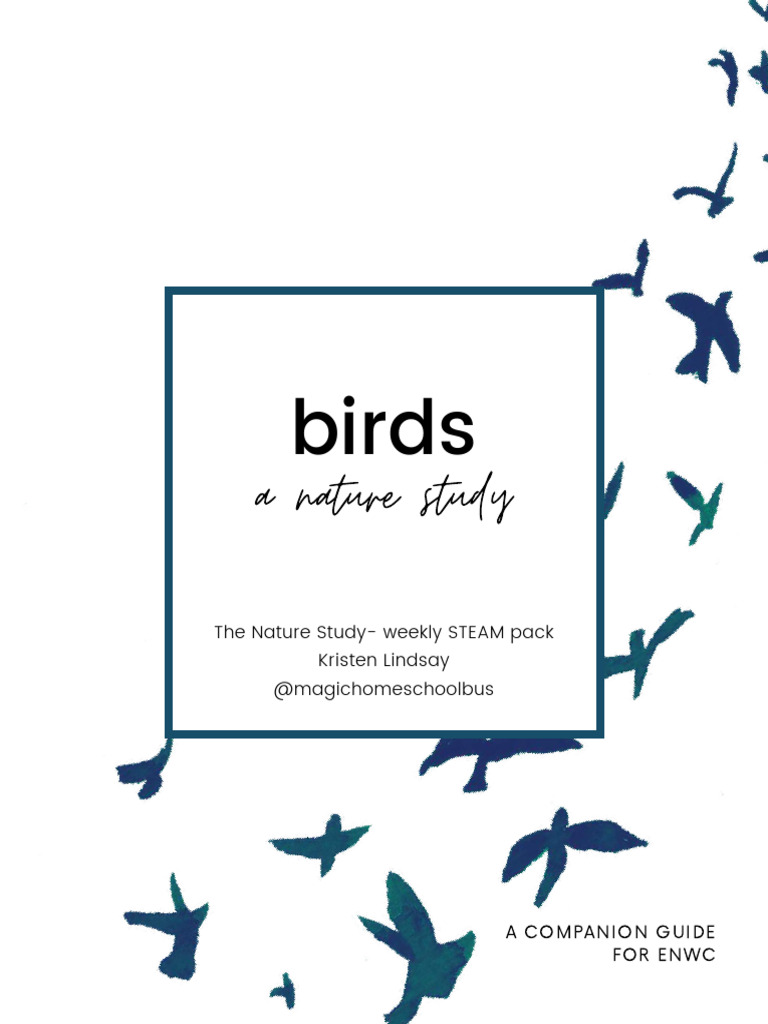 Nature Study: Bird Activities Guide | PDF | Birds | Adaptation