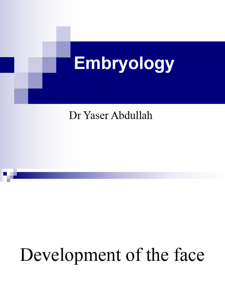Face and Palate Development in Embryology | PDF | Tongue | Human Anatomy