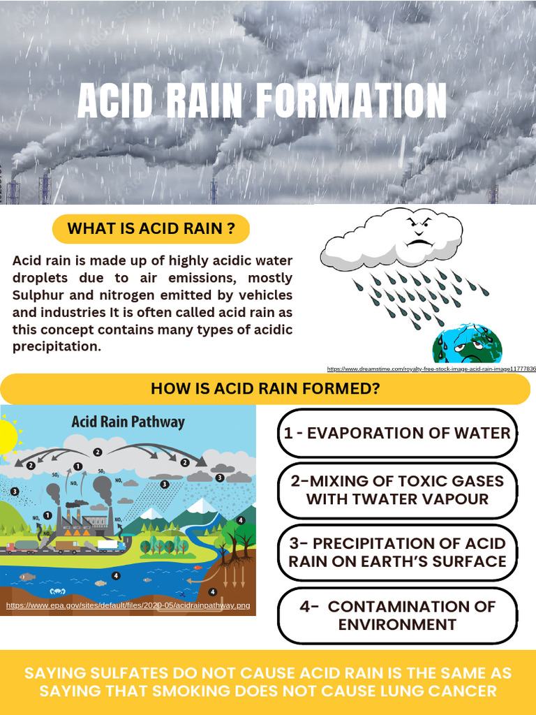Acid Rain Formation | PDF | Home & Garden | Technology & Engineering