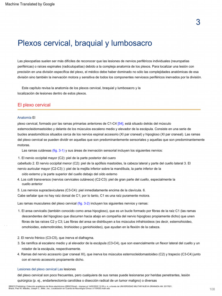 Lesiones del Plexo Cervical | PDF | Anatomía humana | Sistema musculoesquelético